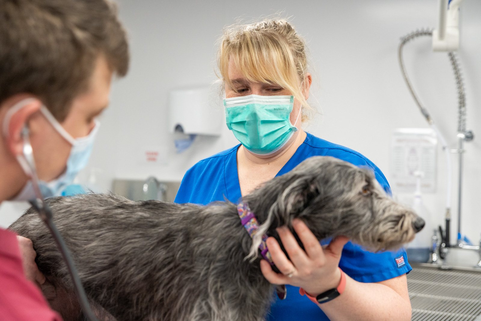Clifton Lodge Vets | Quality Pet Care in County Durham